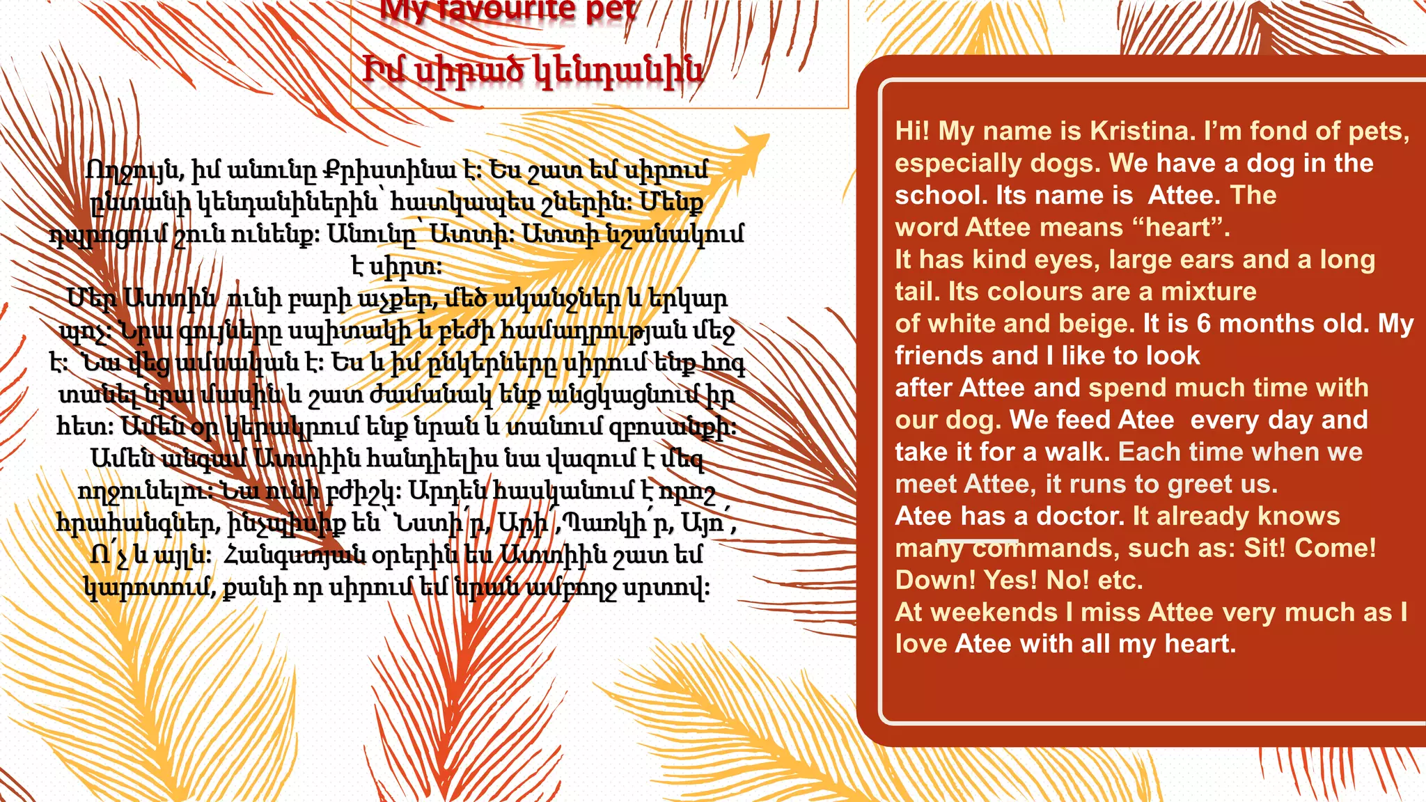 My favourite pet | PPT