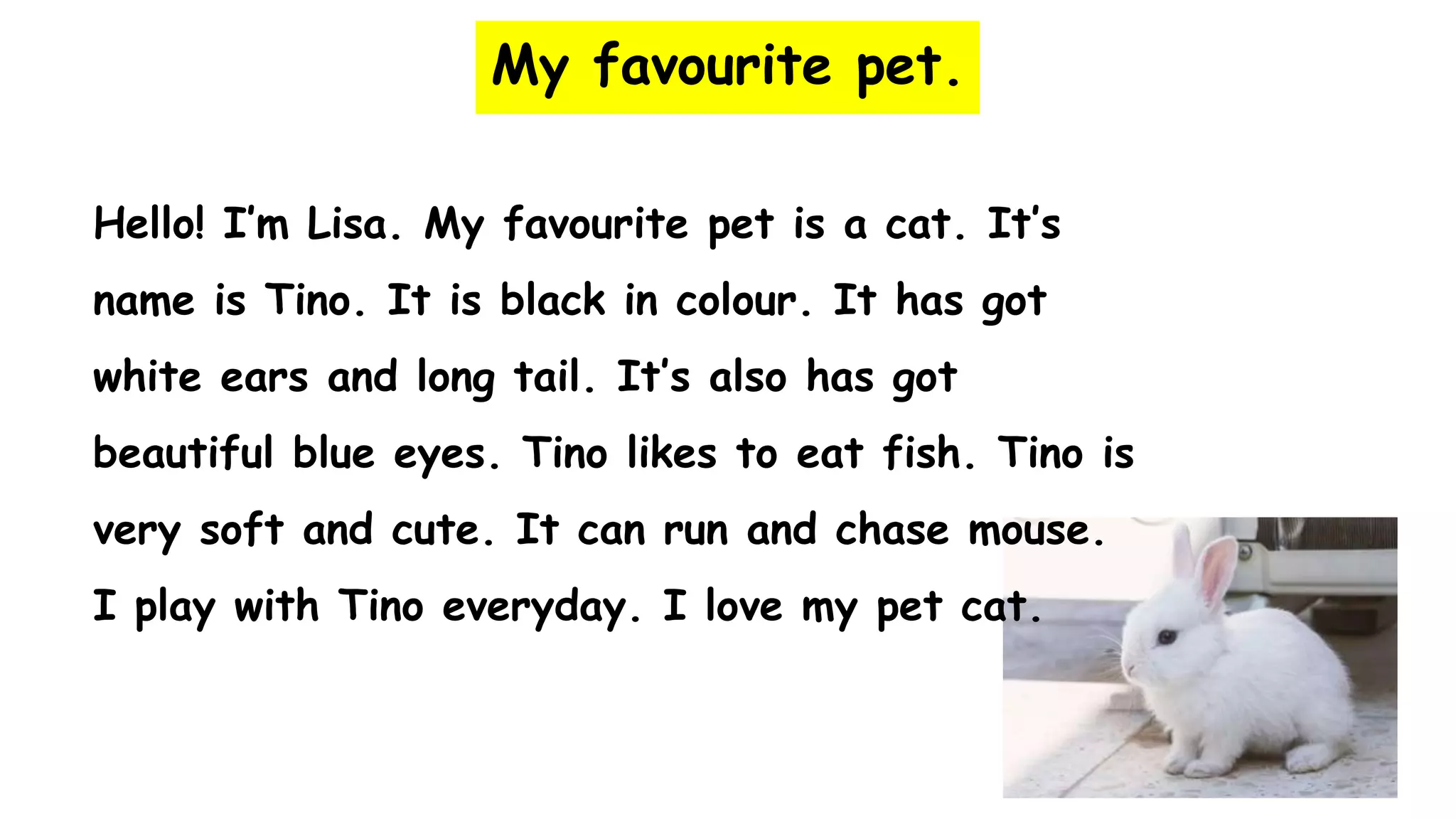 My favourite pet.pptx