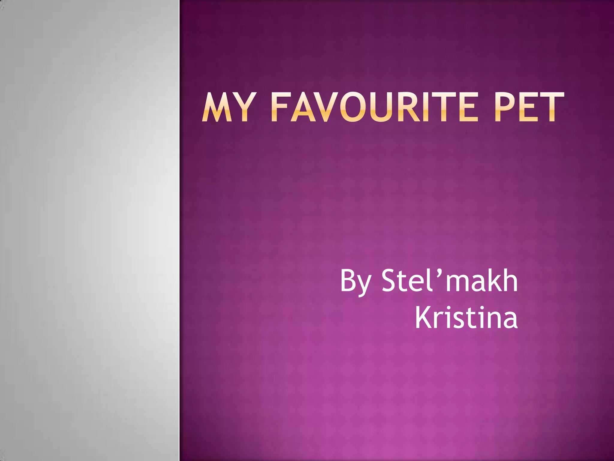 My favourite pet 3 | PPT