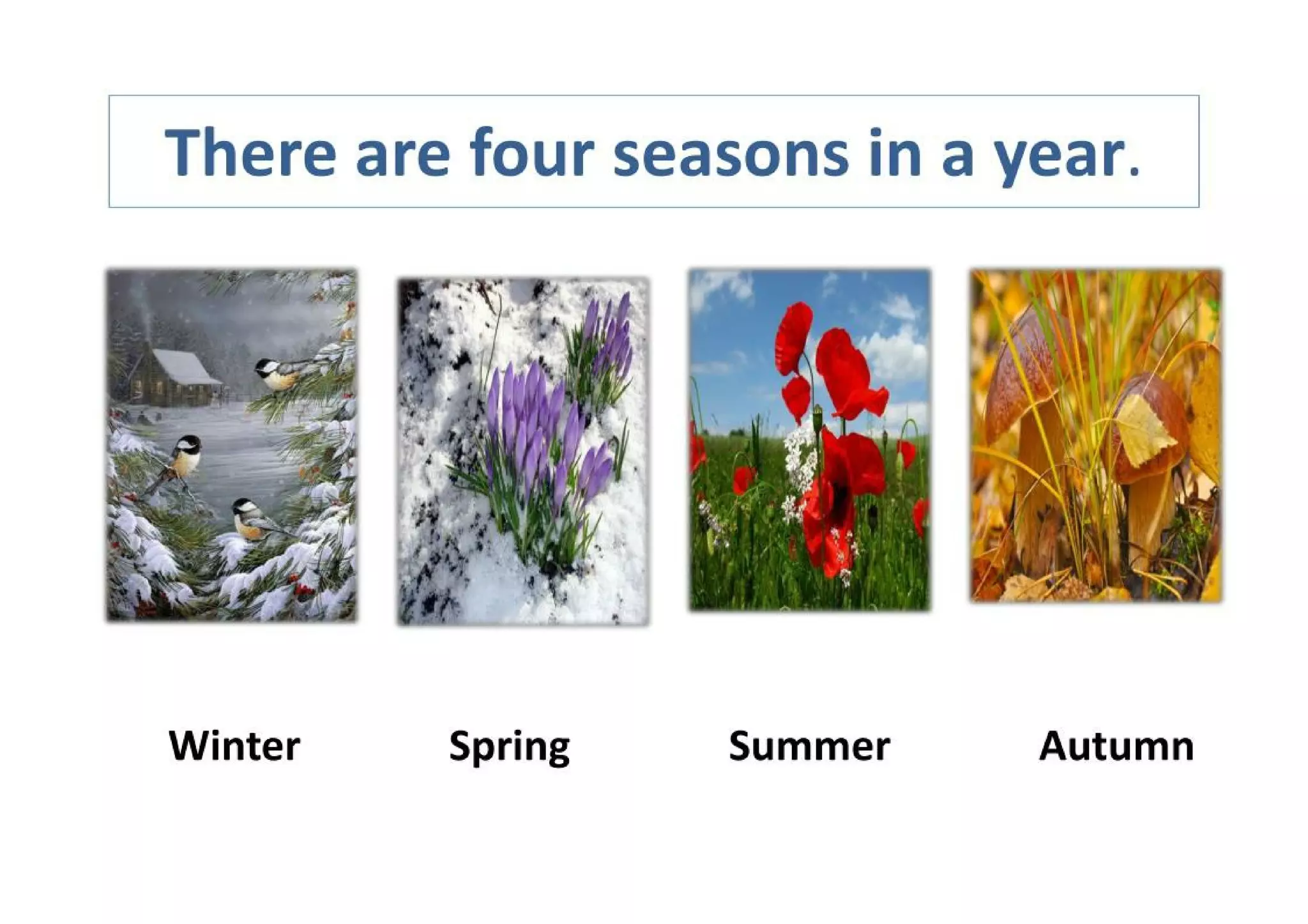 My Favourite Season. | PDF
