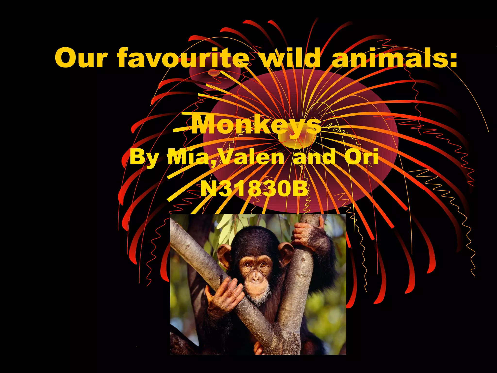 My favourite wild animal monkeys | PPT