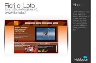 Netdesign Portfolio | PDF