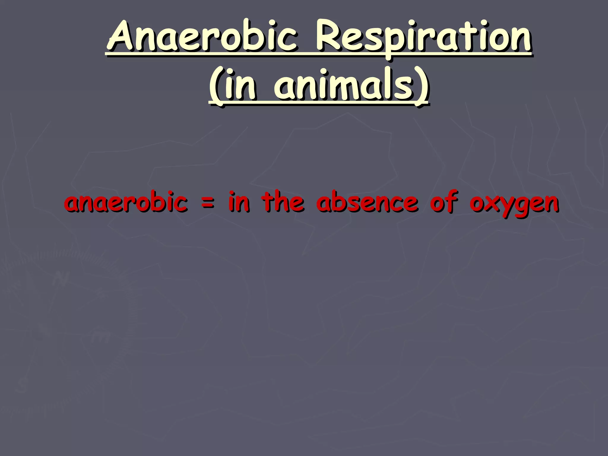 Aerobic and anaerobic respiration. | PPT