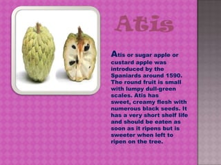 Kinds of fruits | PPTX