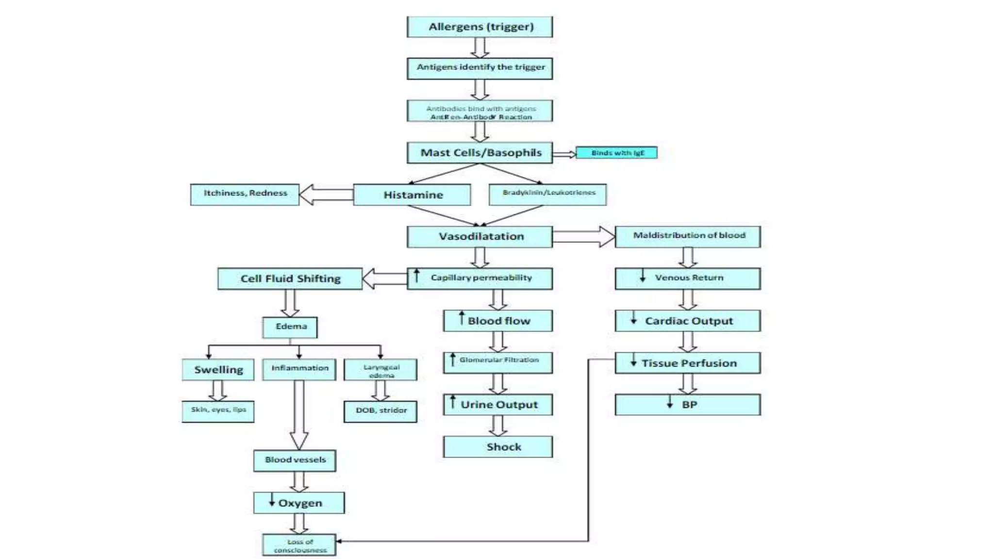 Anaphylactic Shock | PPTX