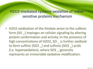 H2O2 in physiological and pathological states | PPTX