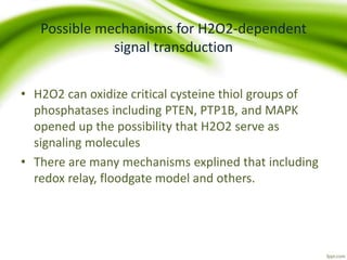 H2O2 in physiological and pathological states | PPTX