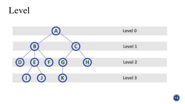 Tree in Graph Theory in Discrete structure