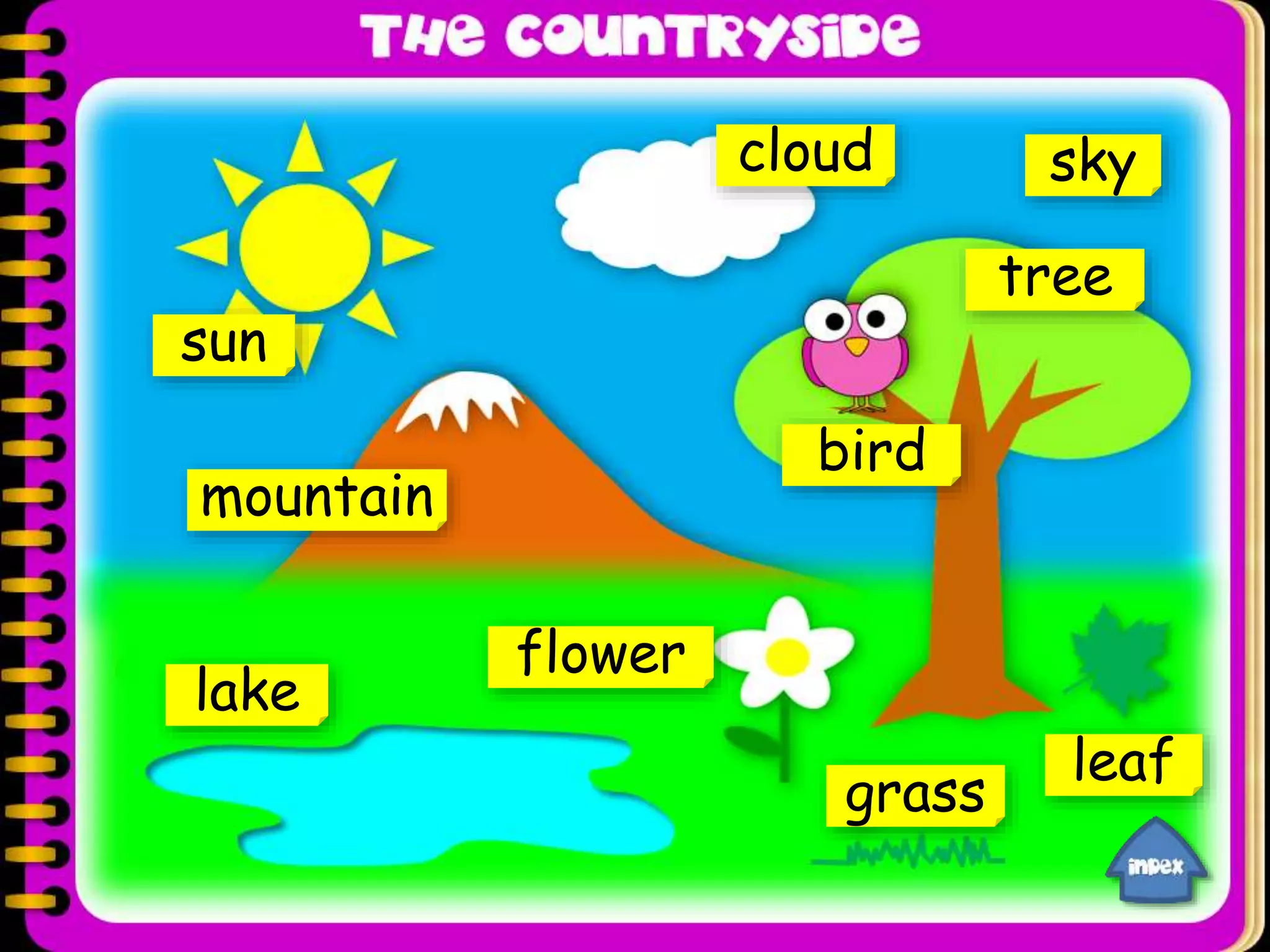 MY FIRST PICTIONARY PPT.pptx