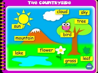 MY FIRST PICTIONARY PPT.pptx