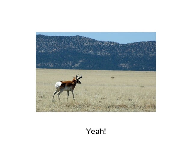 My first slide | PPT