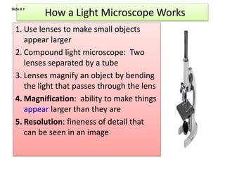 microscope | PPTX