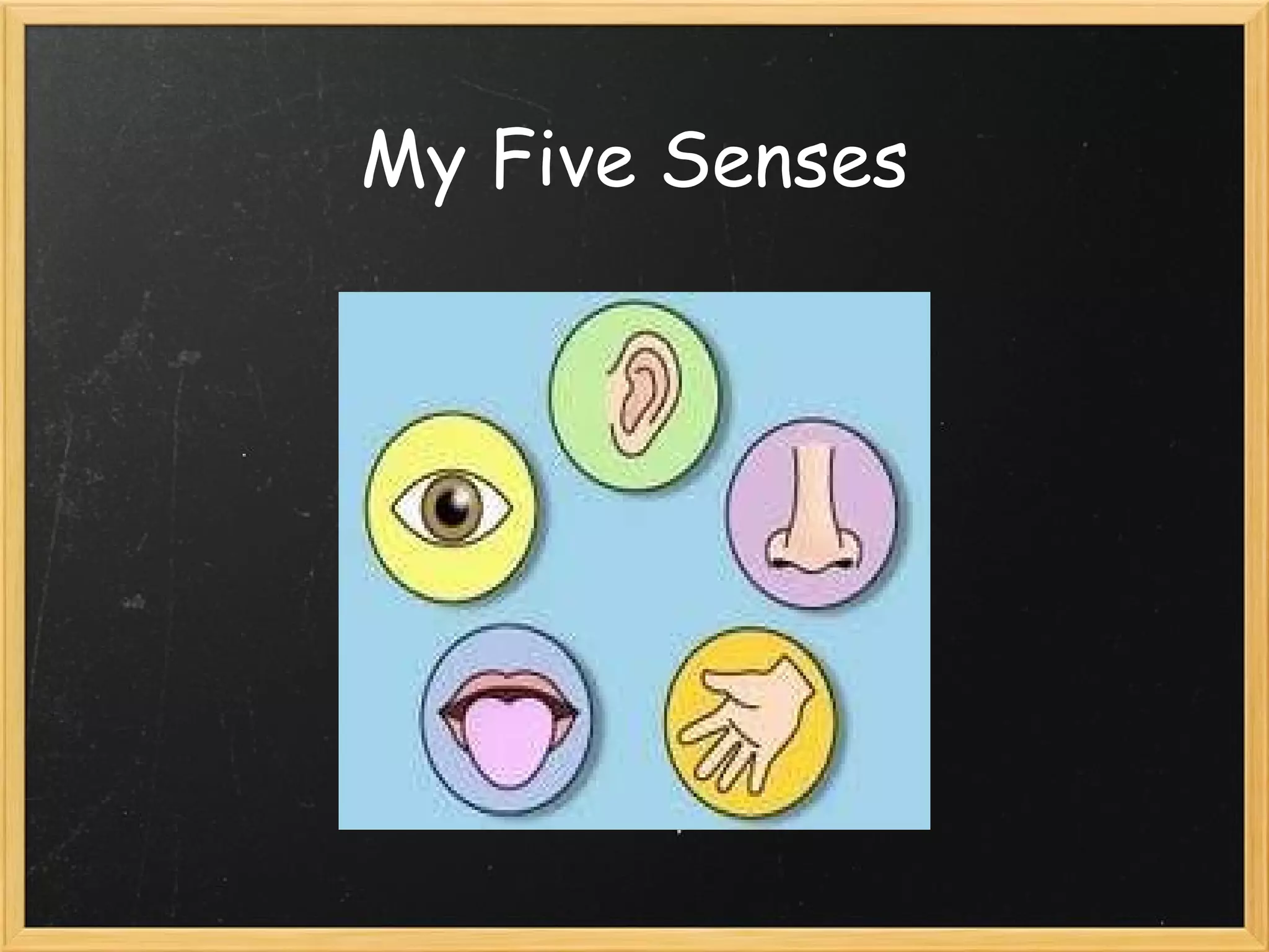 My Five Senses | PPT