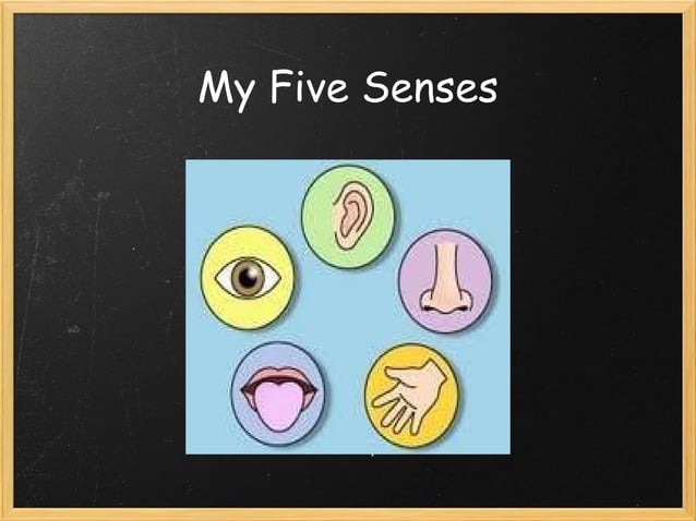 My Five Senses | PPT