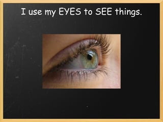 My Five Senses | PPT