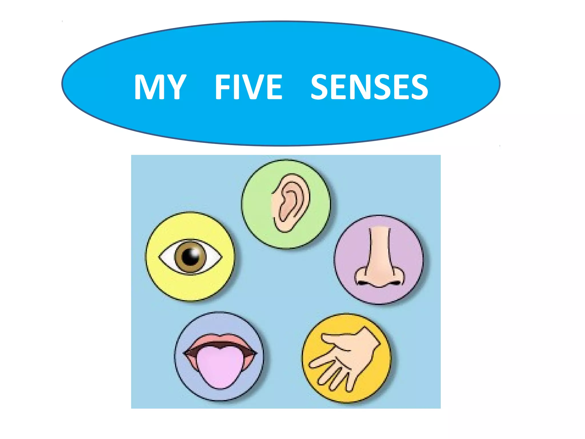 My five senses | PPT