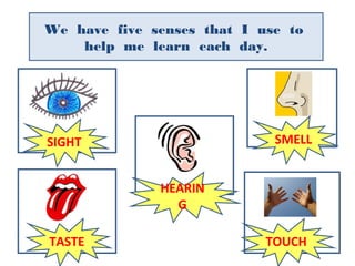 My five senses | PPT