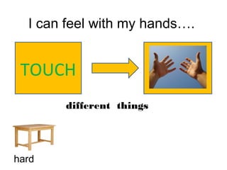 Rough Things To Touch