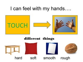 Smooth Things To Touch