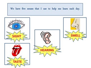 My five senses | PPT