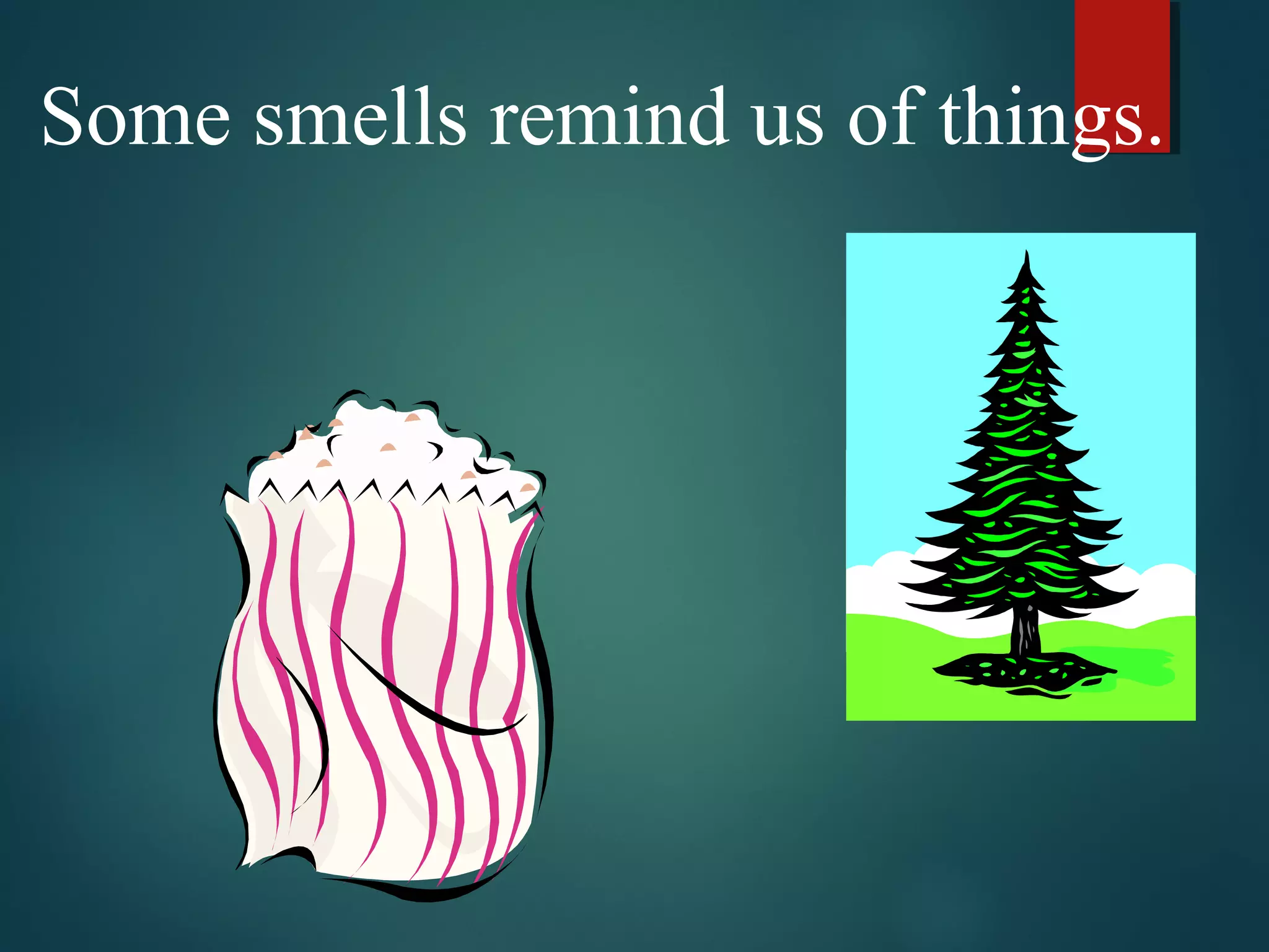 My five senses | PPT