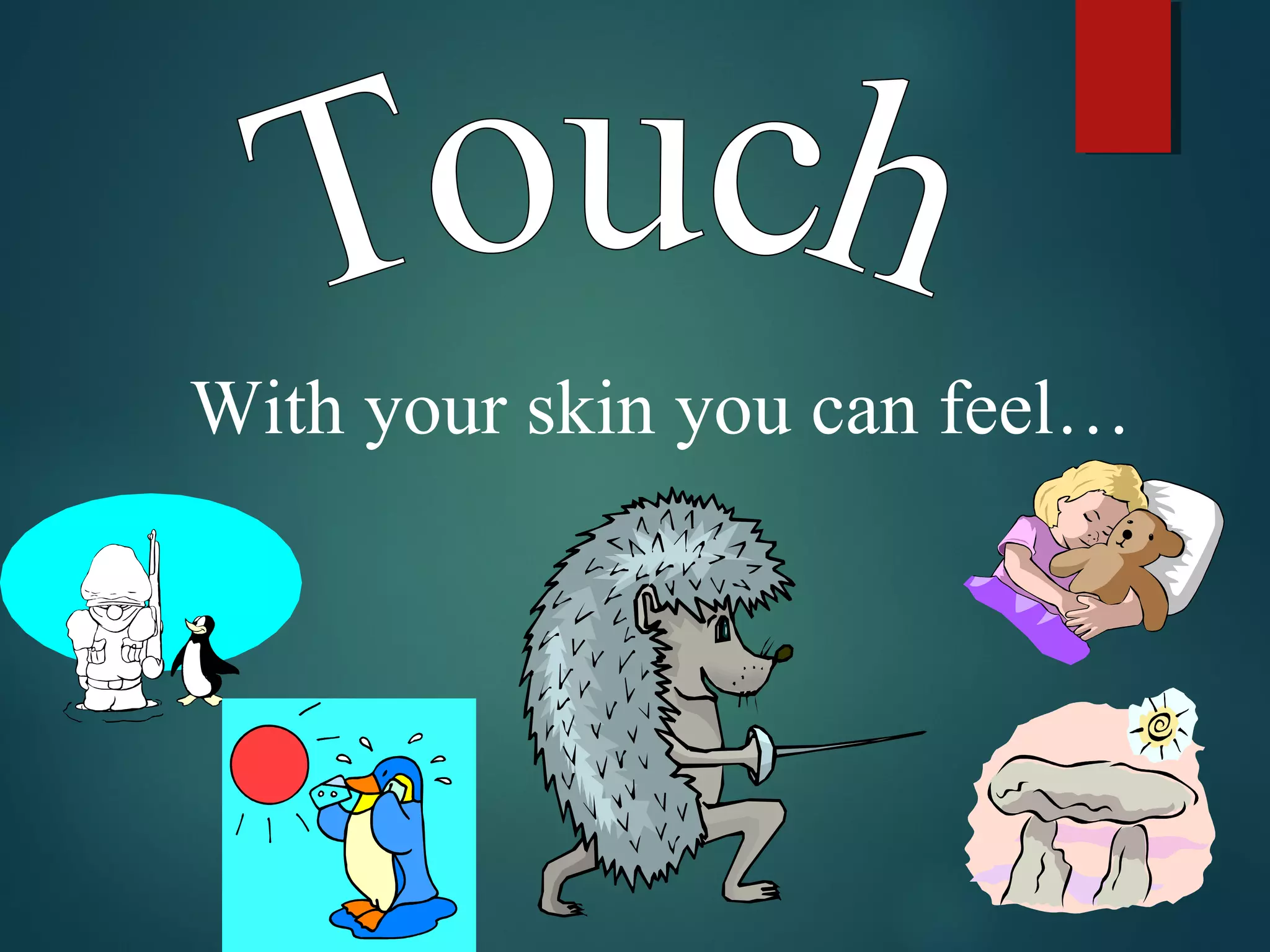 My five senses | PPT