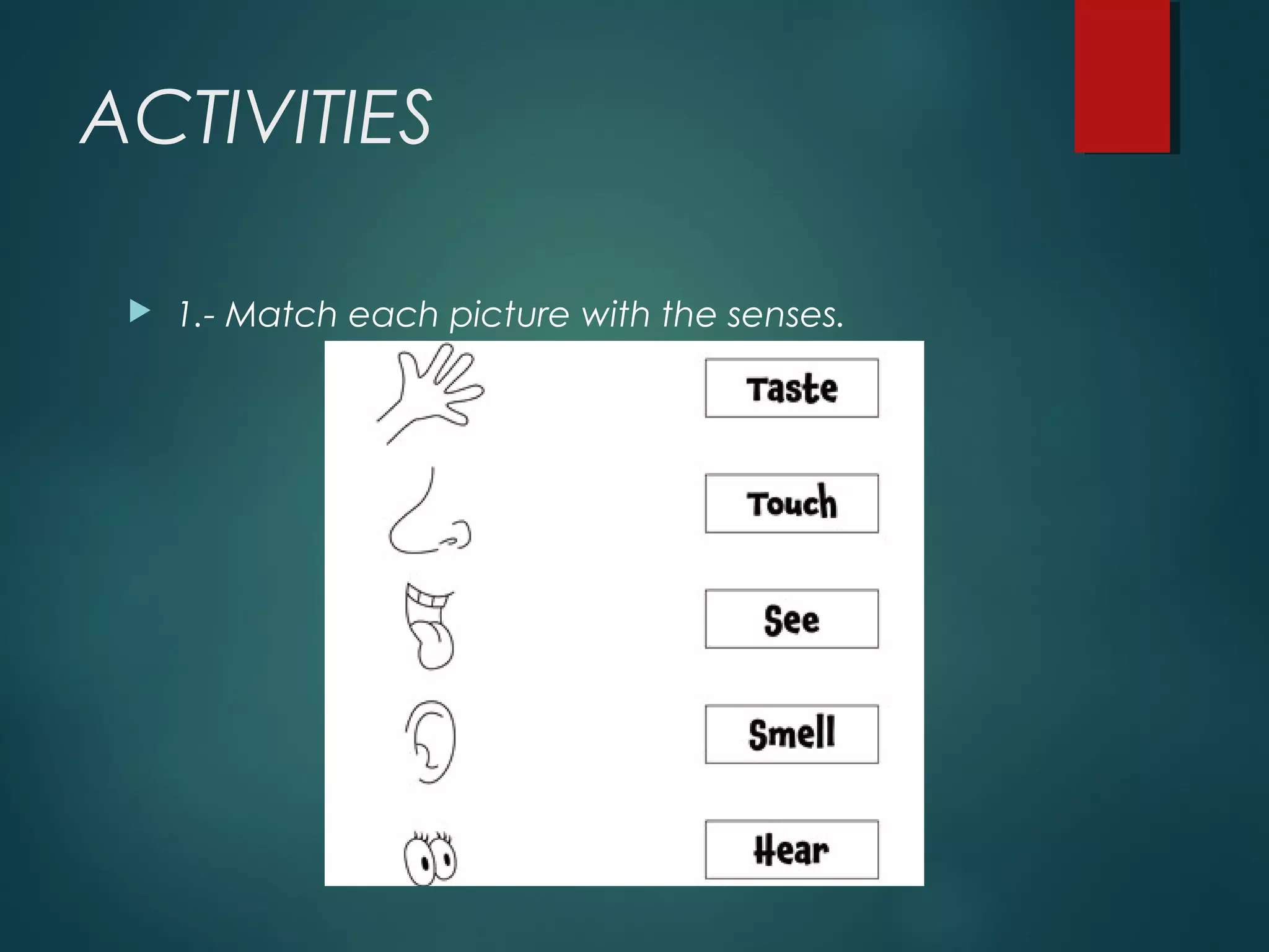 My five senses | PPT