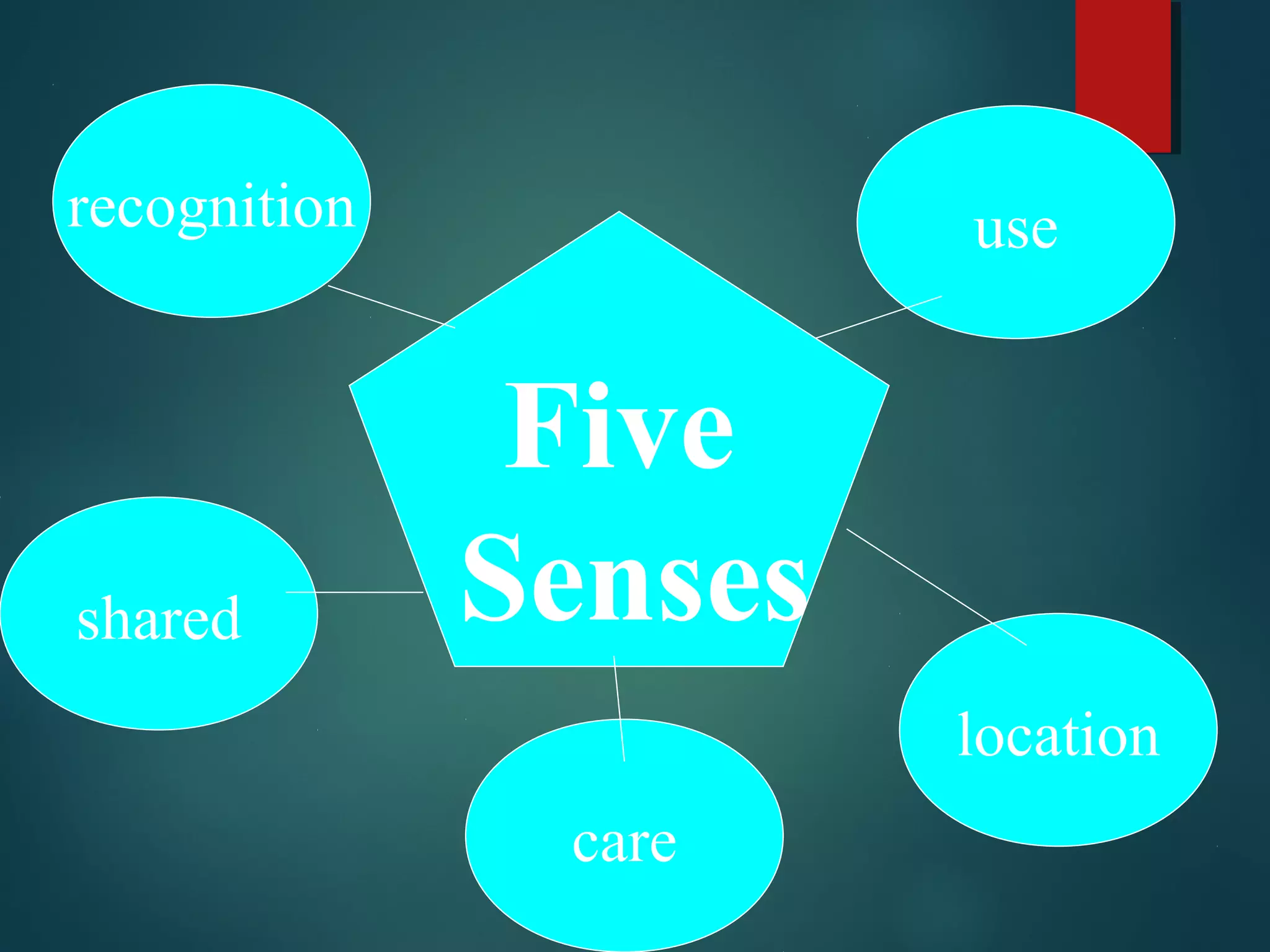 My five senses | PPT