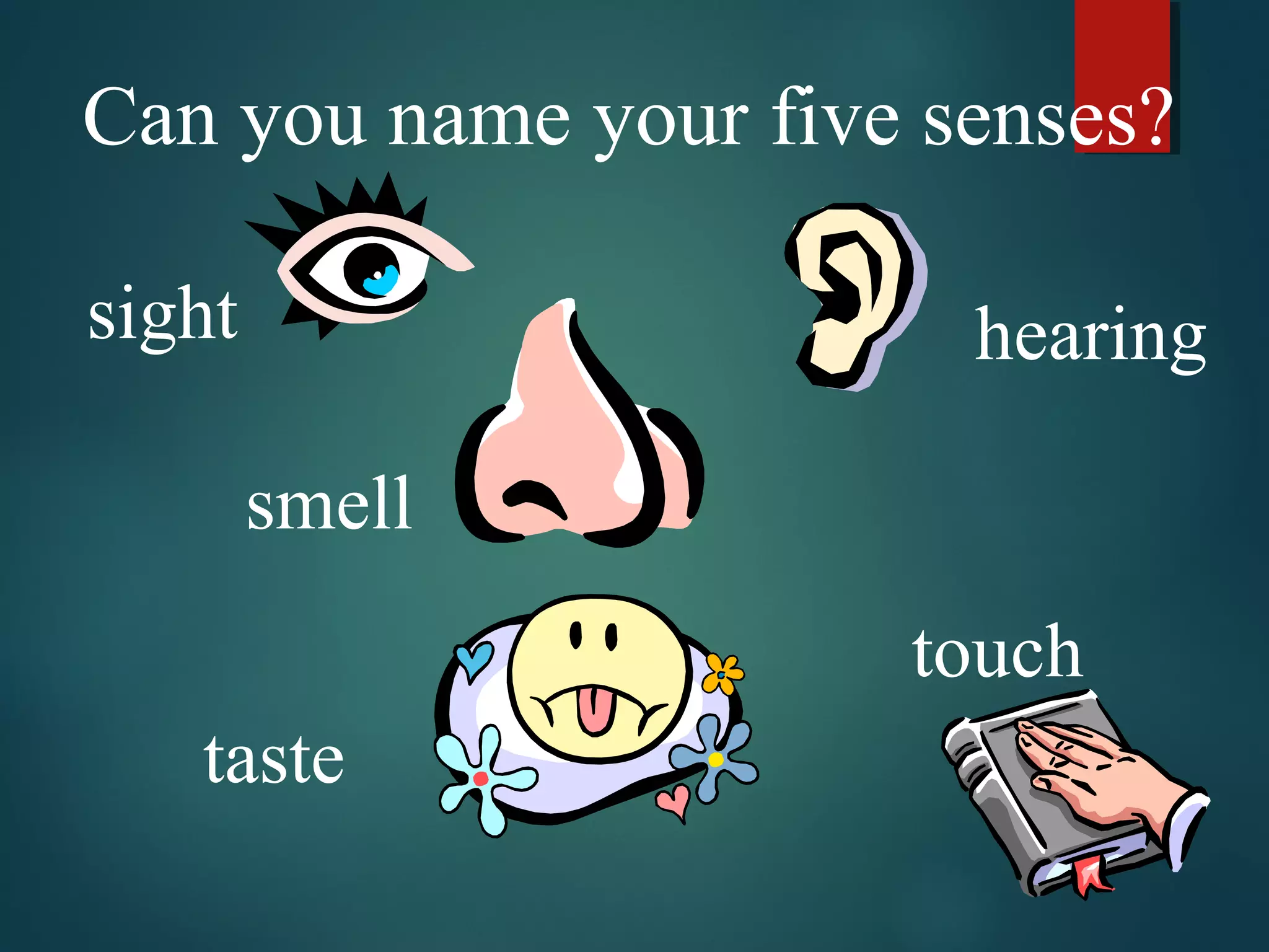My five senses | PPT