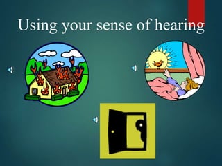 My five senses | PPT