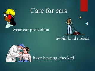 My five senses | PPT