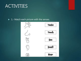 My five senses | PPT
