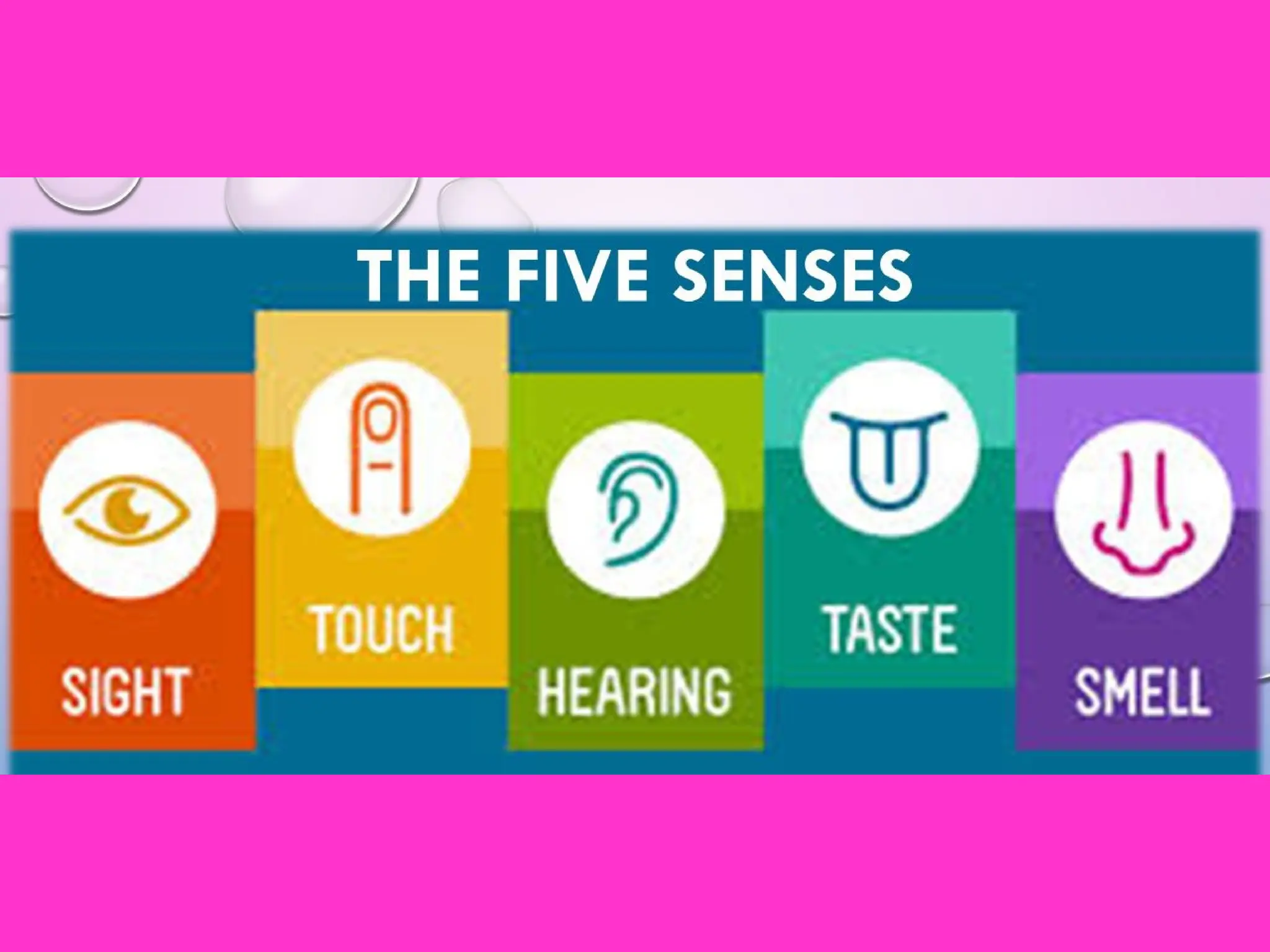 My Five Senses Power Point Presentation. | PPT