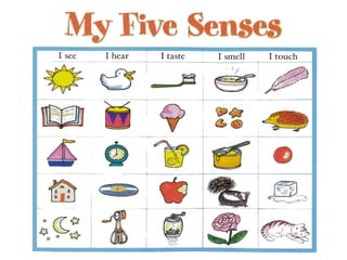 My five senses (pp tminimizer) | PPT