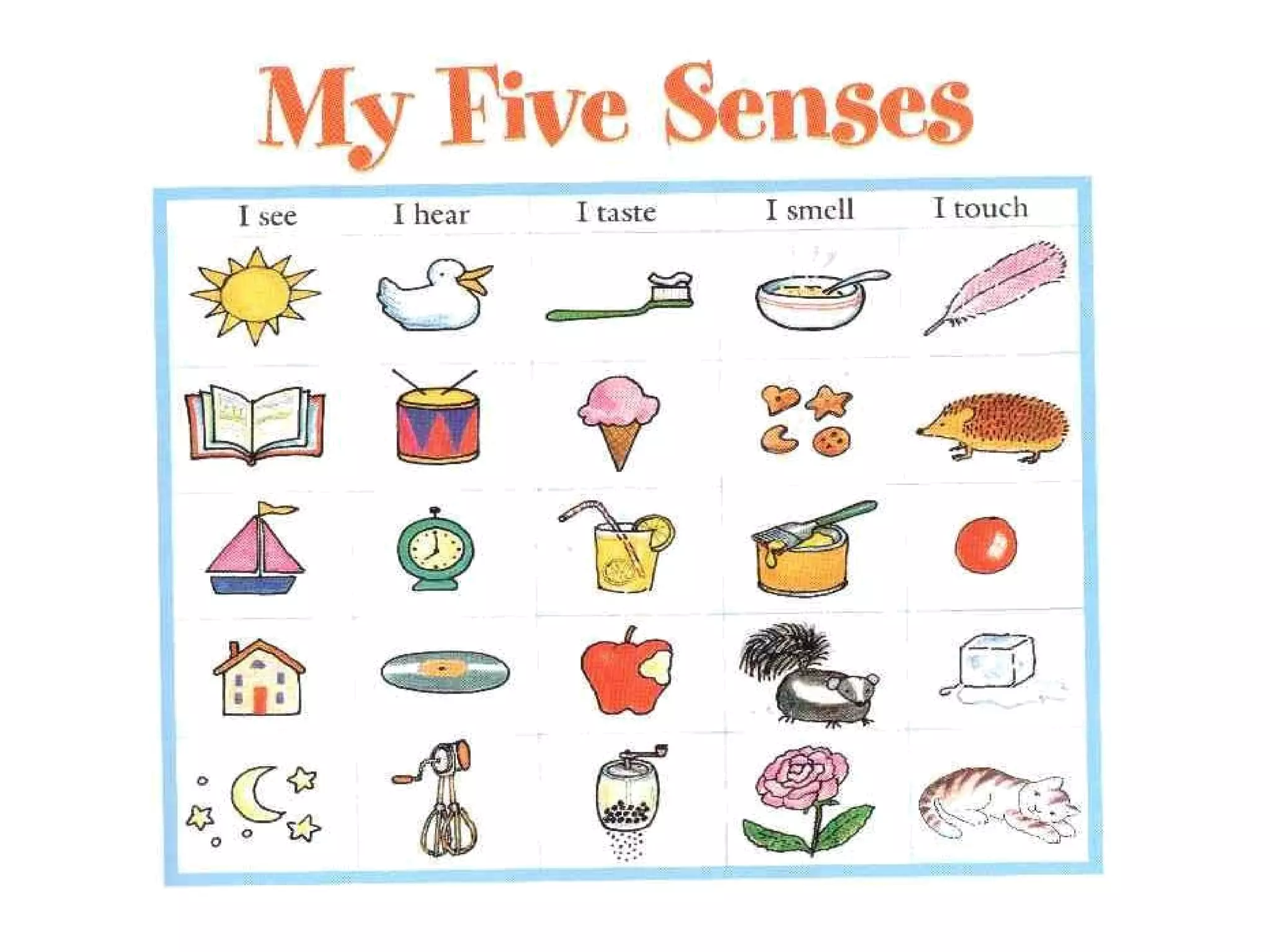 My five senses tale | PPT