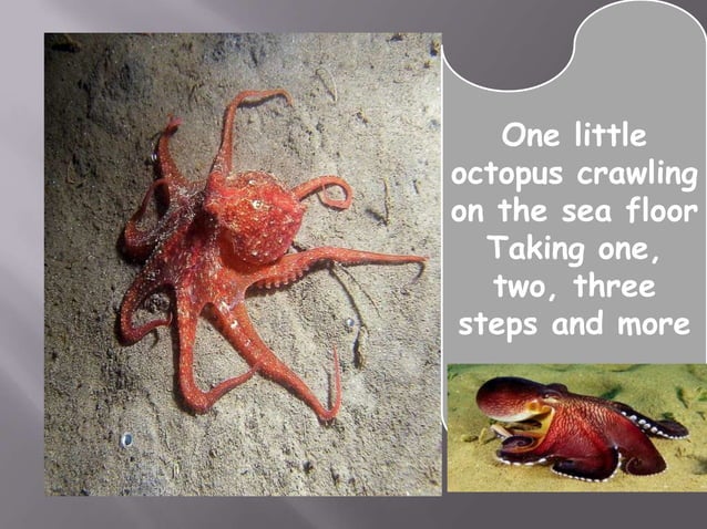 DIY My friends in the ocean, learning the marine life and rhyme | PPTX