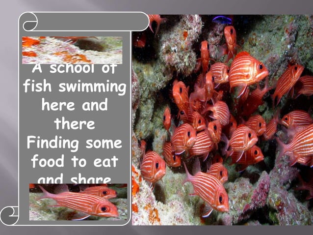 DIY My friends in the ocean, learning the marine life and rhyme | PPTX