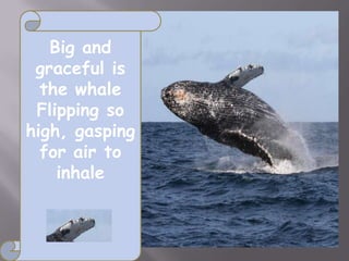 DIY My friends in the ocean, learning the marine life and rhyme | PPTX