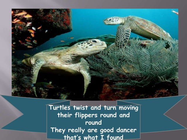 DIY My friends in the ocean, learning the marine life and rhyme | PPT