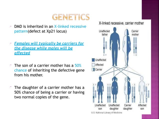 mygeneticspresentation-141130173403-conversion-gate02.pptx