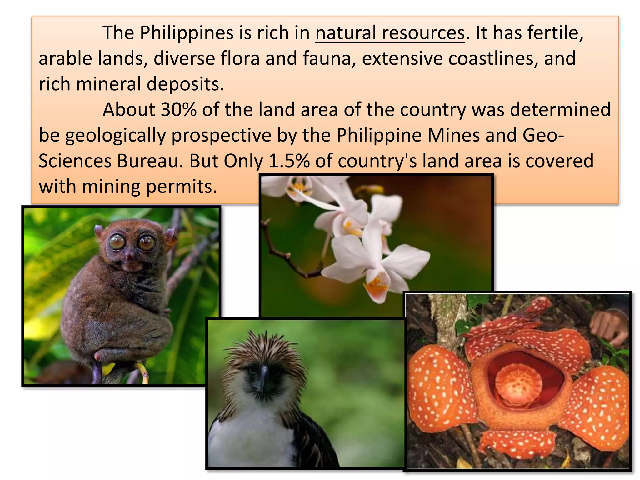 Geography and Natural Resources of the Philippines | PPTX