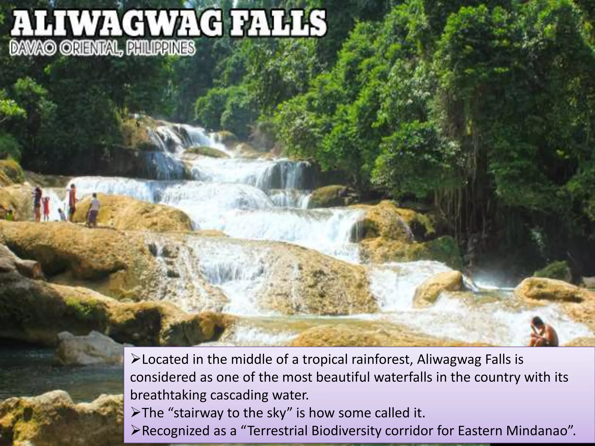 Geography and Natural Resources of the Philippines | PPTX
