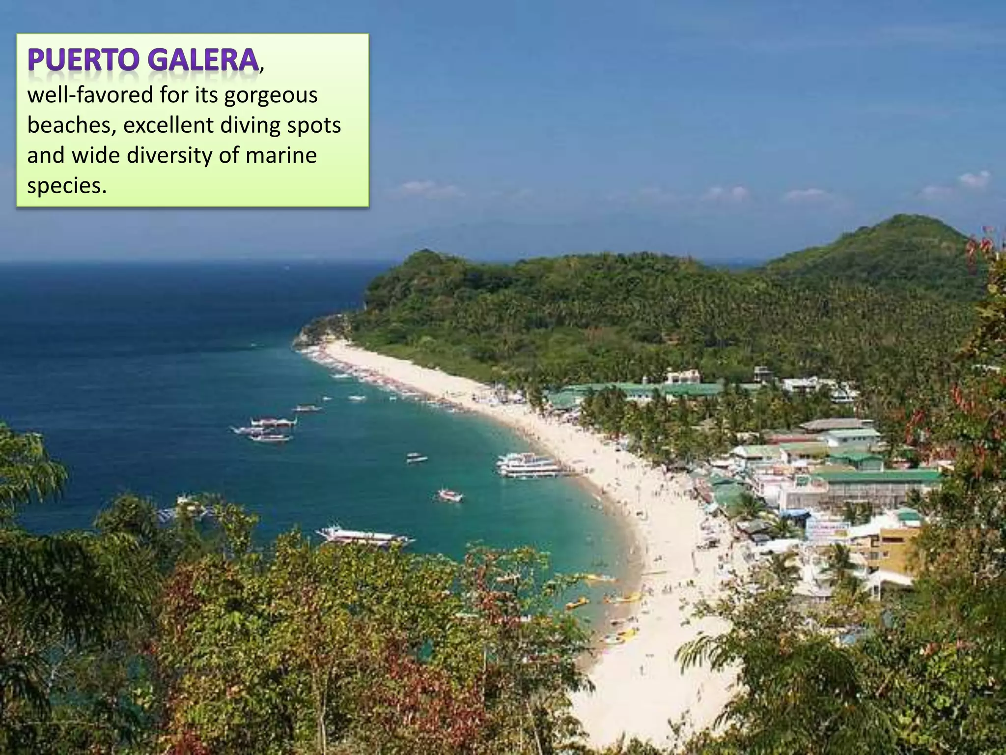 Geography and Natural Resources of the Philippines | PPTX