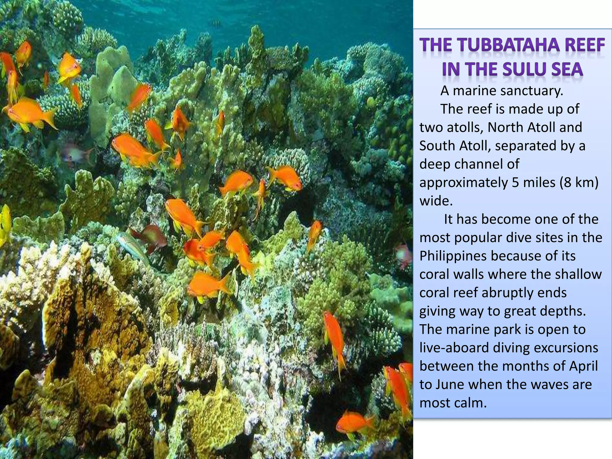 Geography and Natural Resources of the Philippines | PPTX