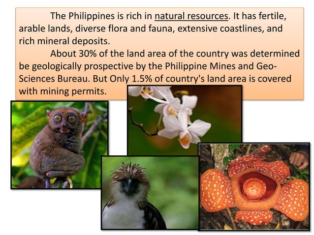 Geography and Natural Resources of the Philippines | PPTX | South ...