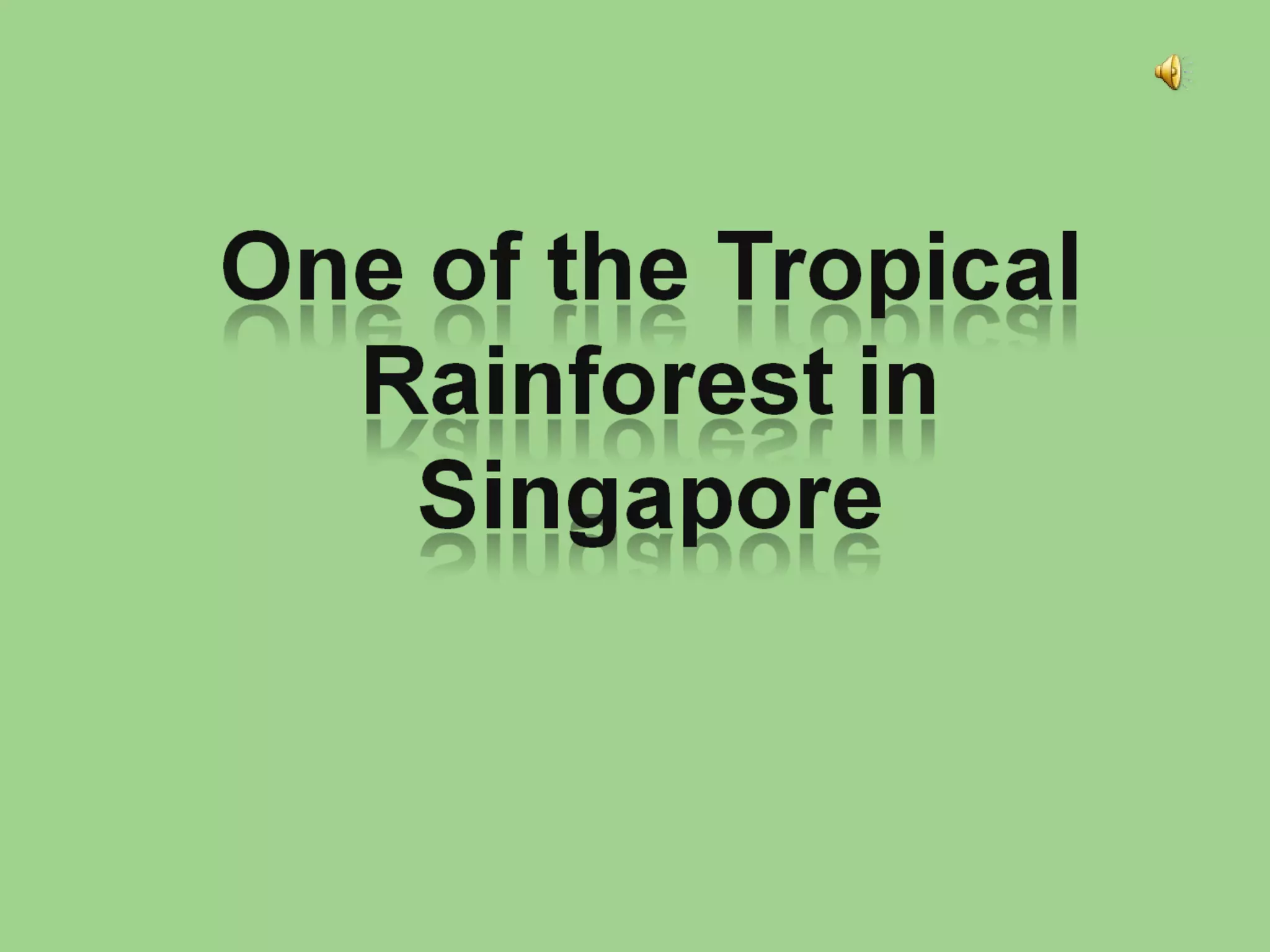 My gerography viedo tropical rainforest | PPT