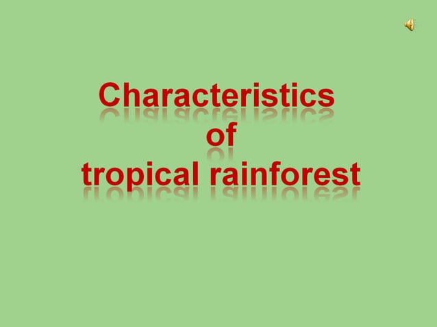 My gerography viedo tropical rainforest | PPT