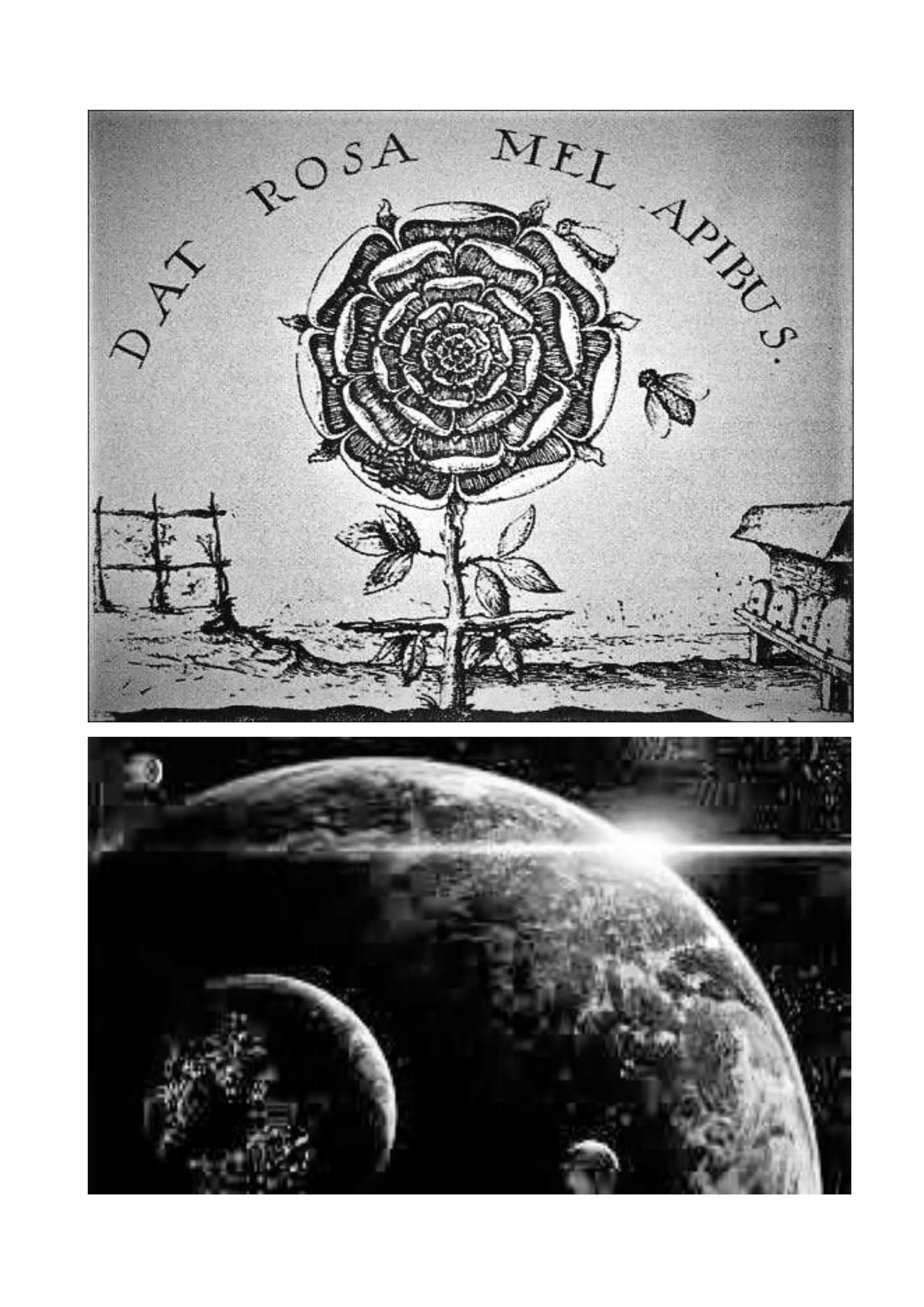 My grandfather carlo rosa | DOCX