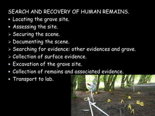 Forensic Anthrpology | PPTX