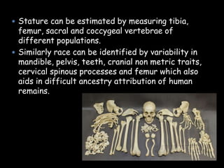 Forensic Anthrpology | PPTX